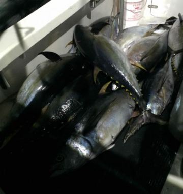 Overnight Canyon Trips | Predatuna Sport Fishing