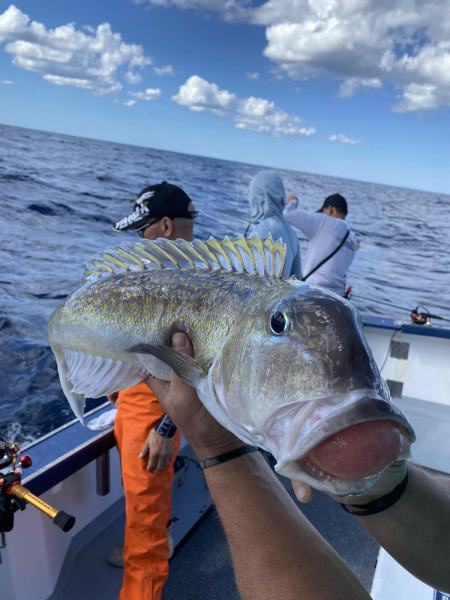 Overnight Canyon Trips | Predatuna Sport Fishing